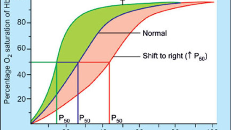Physiology of Oxygen Transport: The Dissociation Curve and Respiratory ...